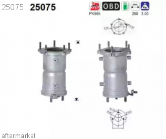 25075 AS - Катализатор. Замена, описание, фото, аналоги, цены, купить ...
